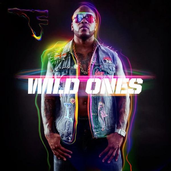 Wild Ones by Flo Rida (Album, Dance-Pop): Reviews, Ratings, Credits ...