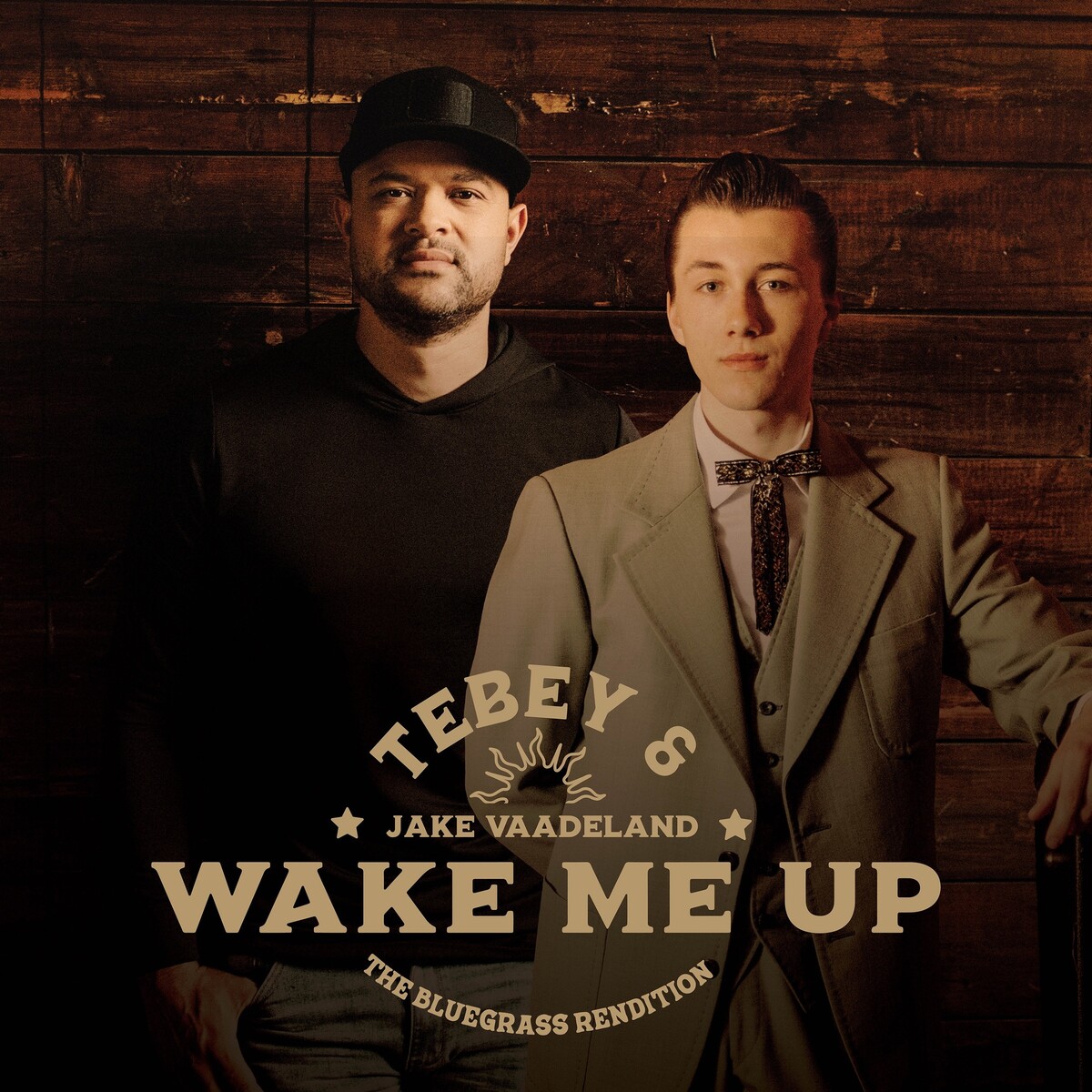 Wake Me Up (The Bluegrass Rendition) by Tebey & Jake Vaadeland (Single ...