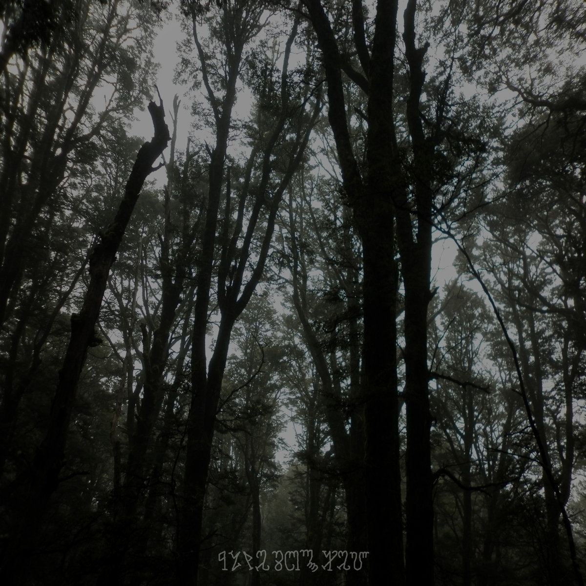 Green Ghosts by Blue Sky Hex (Album; Fight, Cave or Hole; FCOH036 ...