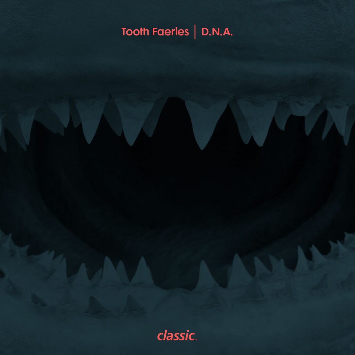 Tooth Faeries Albums: songs, discography, biography, and listening ...