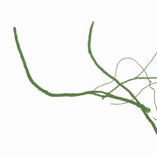 Mileece Albums: songs, discography, biography, and listening guide ...