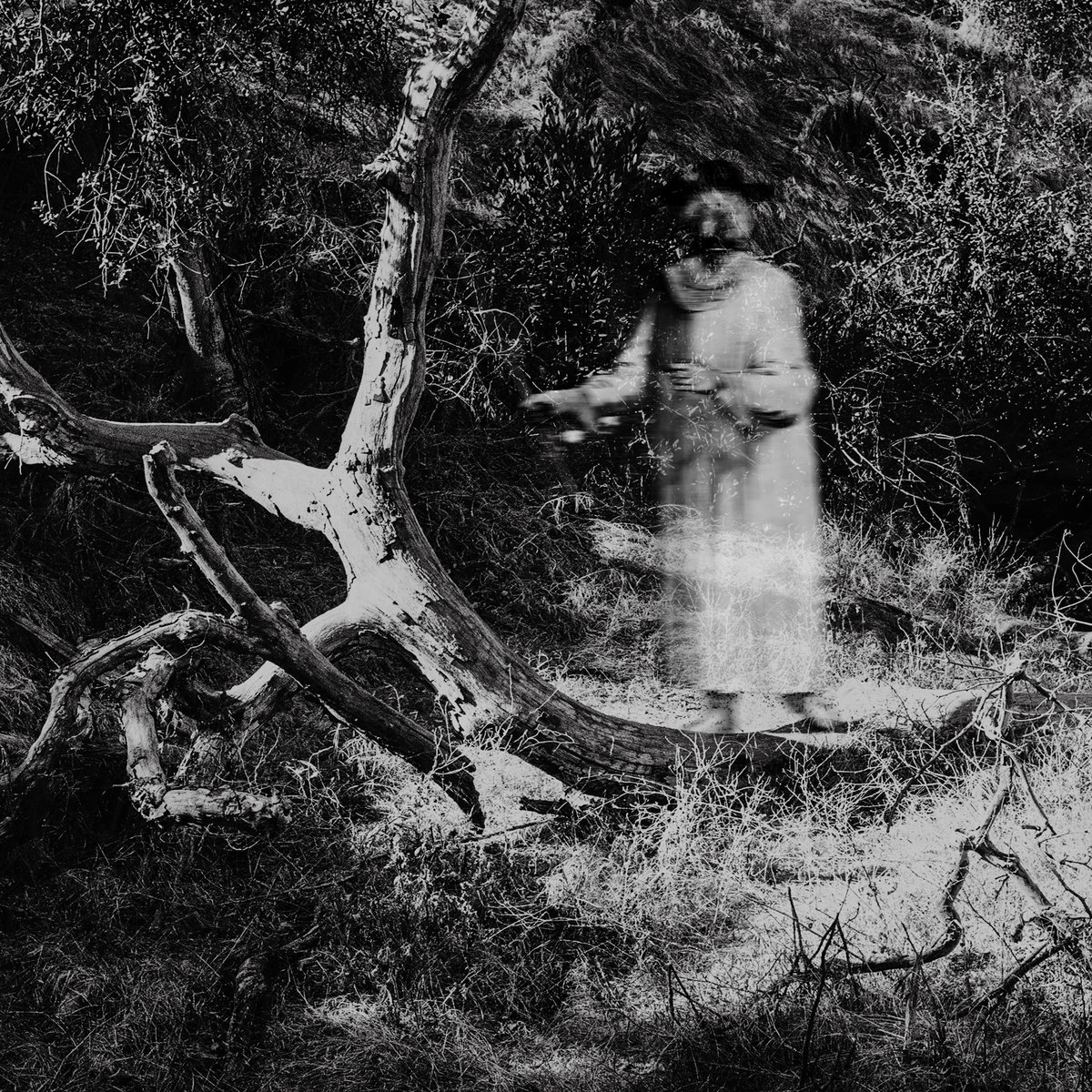 Moru Albums: songs, discography, biography, and listening guide - Rate ...