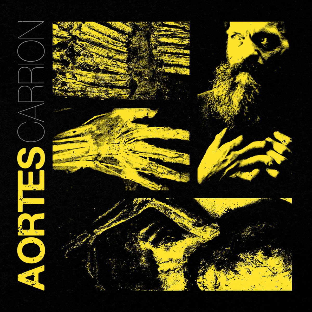 Carrion by Aortes (Album, Post-Metal): Reviews, Ratings, Credits, Song ...