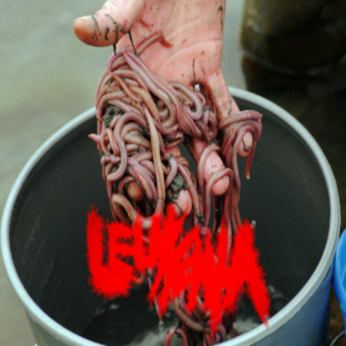 Infested With Blood Worms by Leukemia (Album; Severed Nerve): Reviews ...