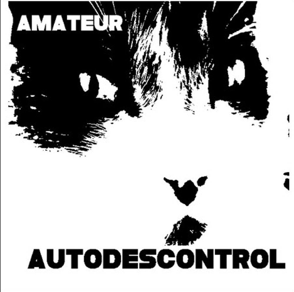 Amateur Albums: songs, discography, biography, and listening guide ...