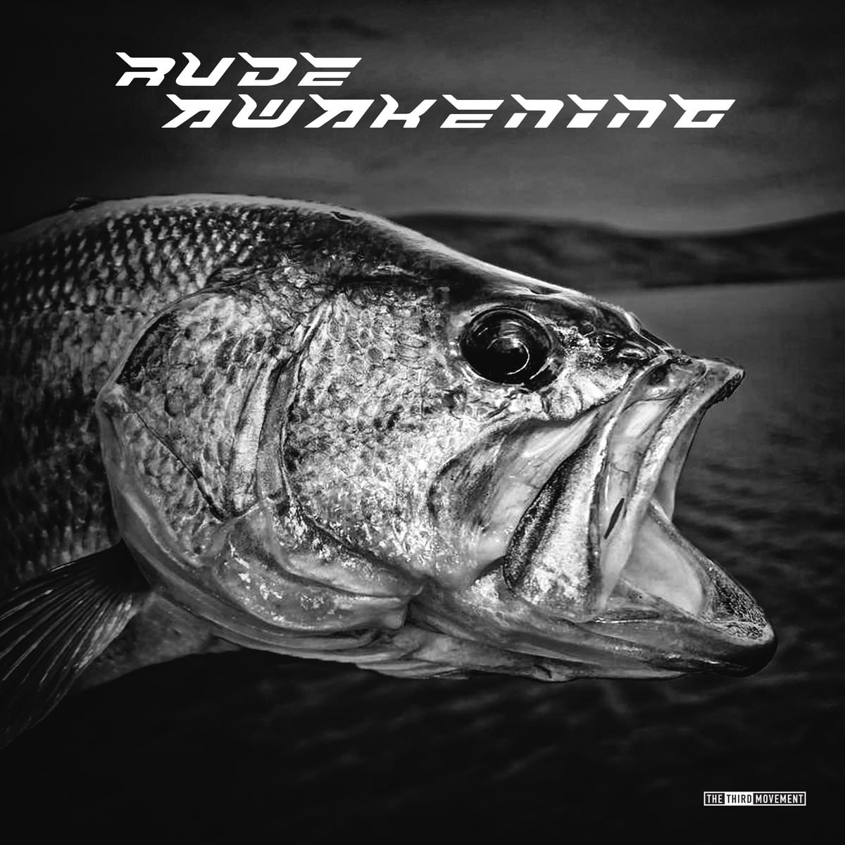 Raw Bass by Rude Awakening (Single): Reviews, Ratings, Credits, Song ...