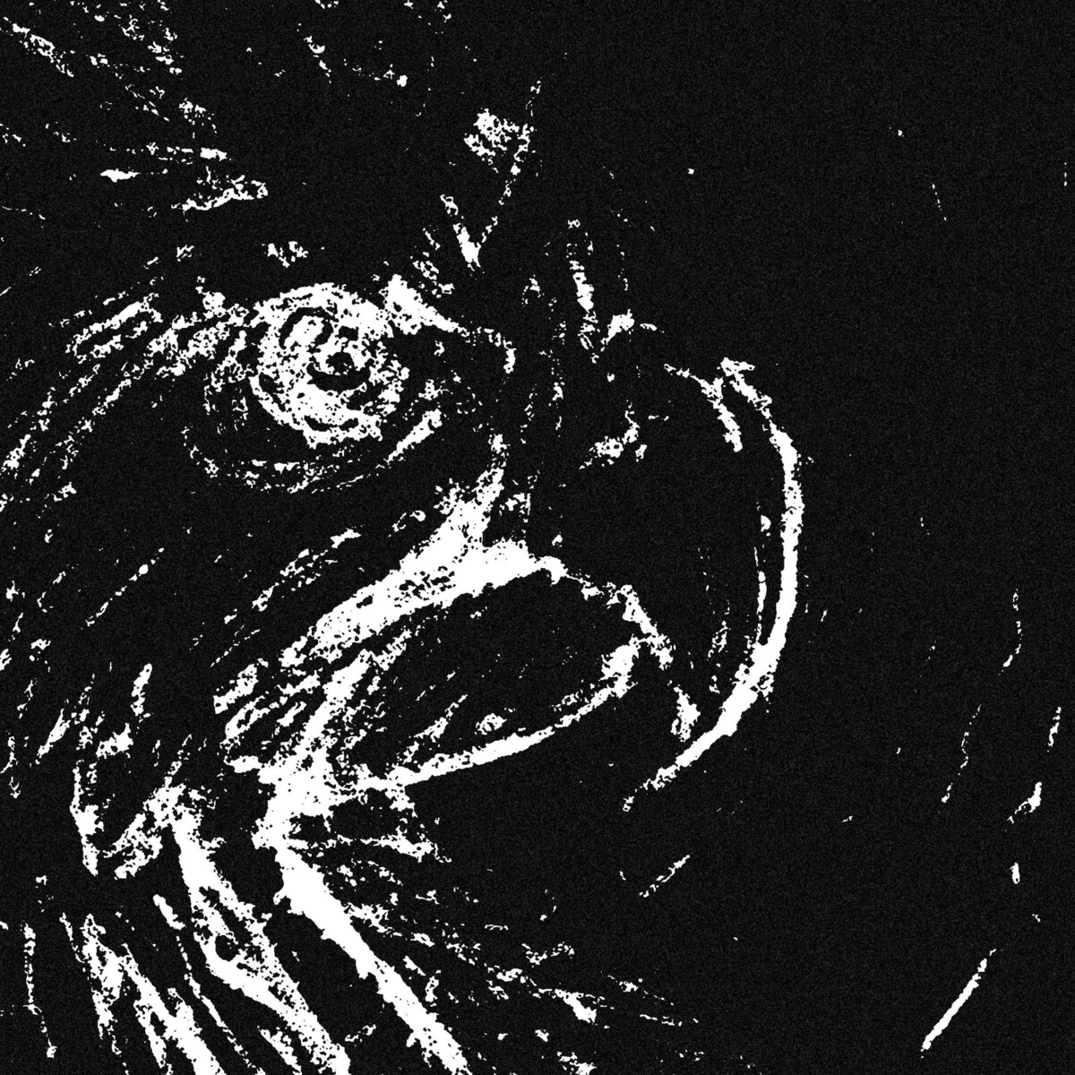 Parrots by Otocol (Album): Reviews, Ratings, Credits, Song list - Rate ...