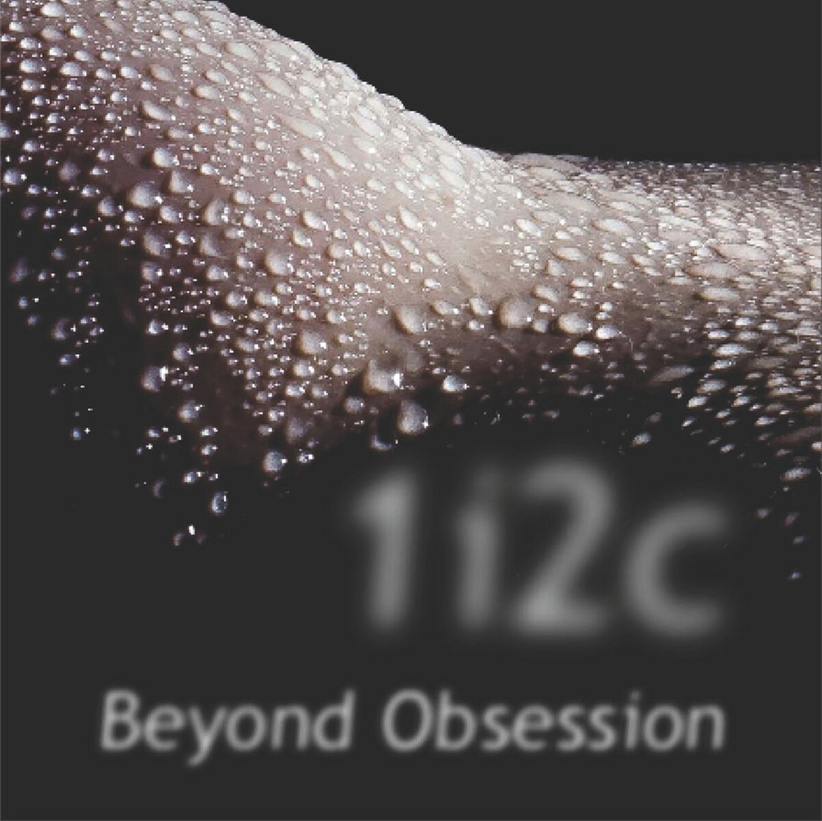 Beyond Obsession by _1i2c (Album): Reviews, Ratings, Credits, Song list ...