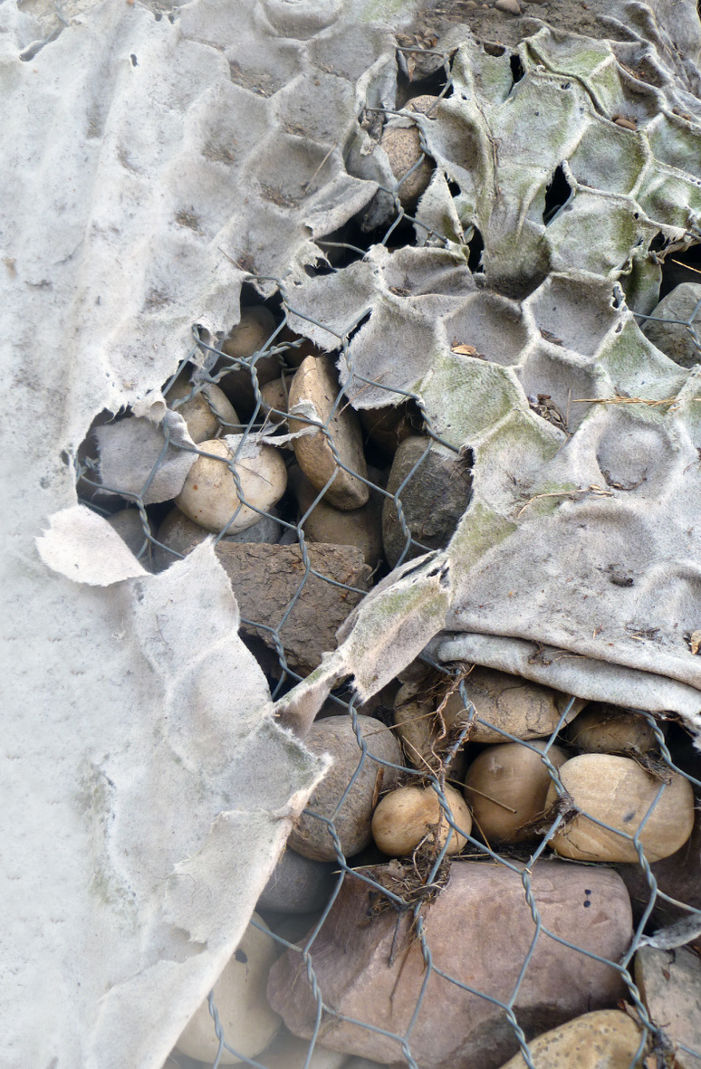 Concrescence by Pigeon Breeders (Album, Drone): Reviews, Ratings ...