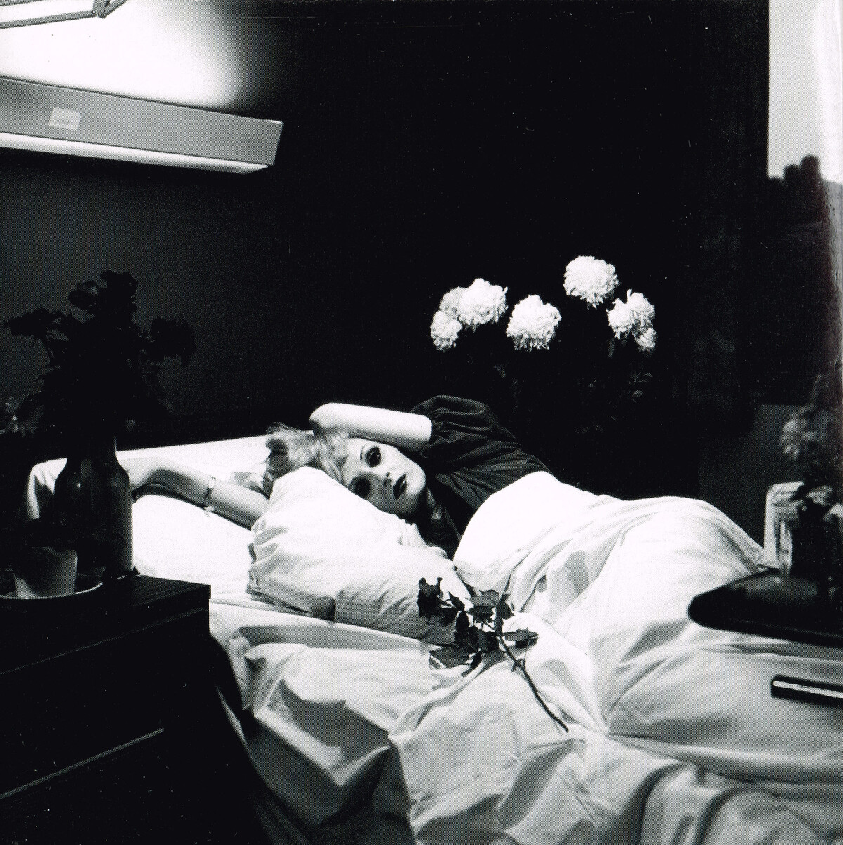 I Am a Bird Now by ANOHNI and The Johnsons (Album; Rough Trade ...