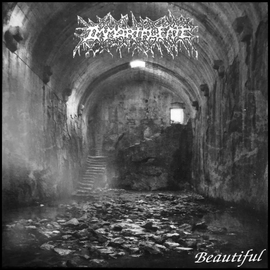 Immortal Fate Albums: songs, discography, biography, and listening ...