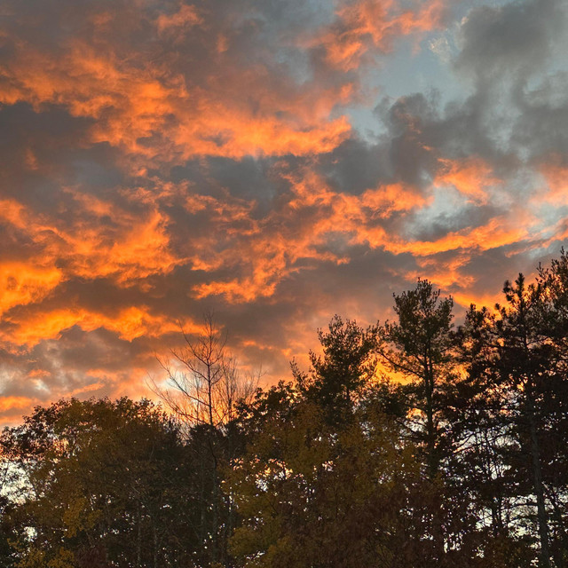 Lovely by Two:22 (Single): Reviews, Ratings, Credits, Song list - Rate ...