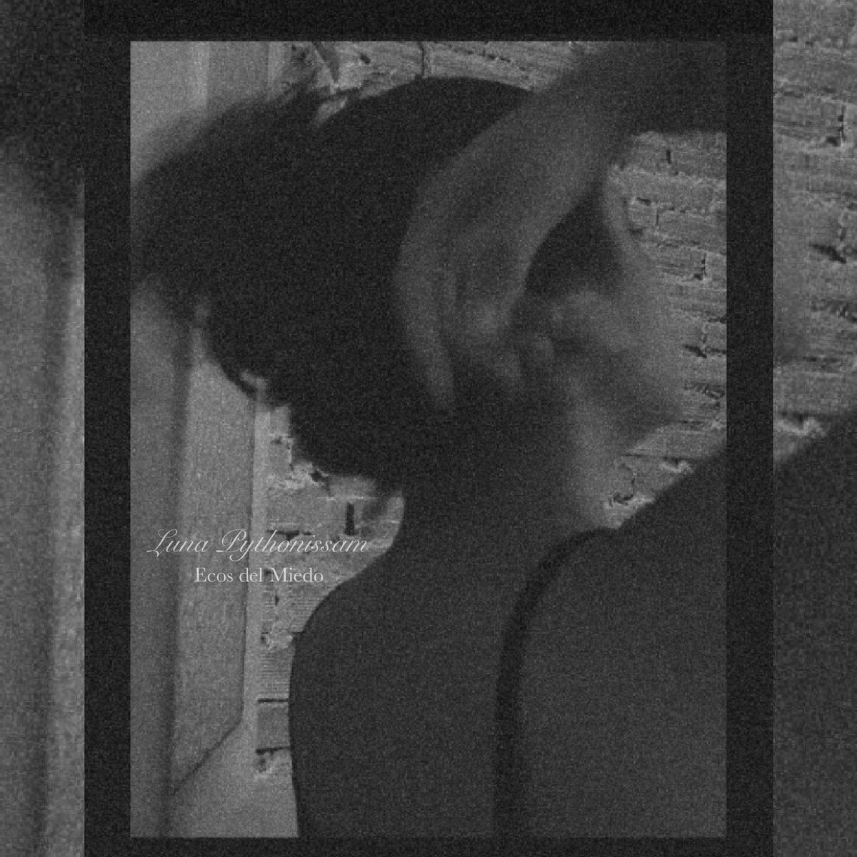 Ecos del miedo by Luna Pythonissam (EP, DSBM): Reviews, Ratings ...
