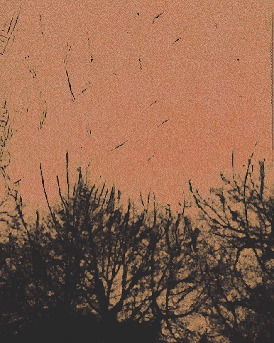 Best Post-Hardcore albums of the 2020s - Rate Your Music