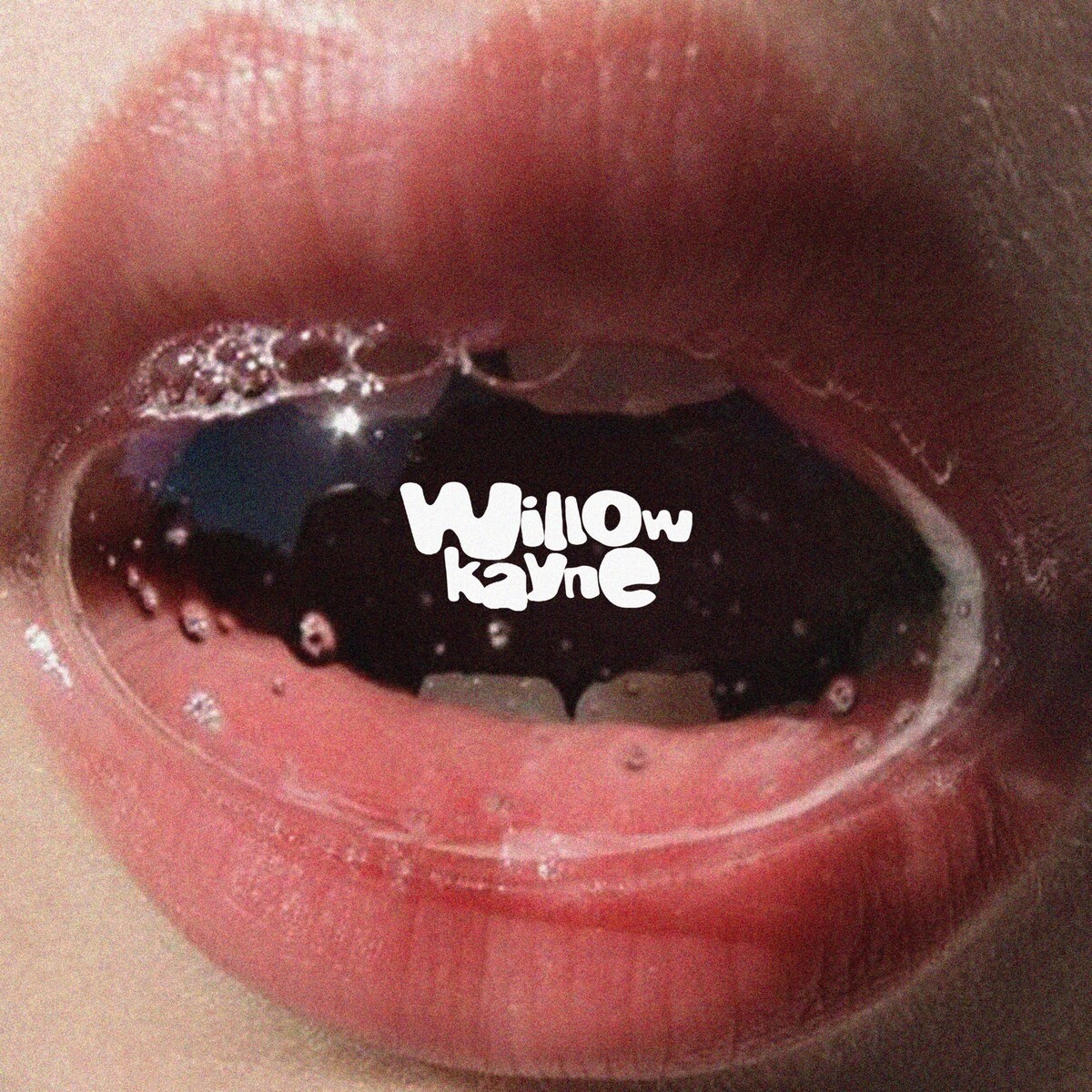 The Good Life by Willow Kayne (Single): Reviews, Ratings, Credits, Song ...