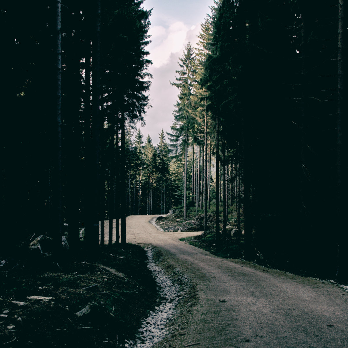 Len Is Two Albums: songs, discography, biography, and listening guide ...