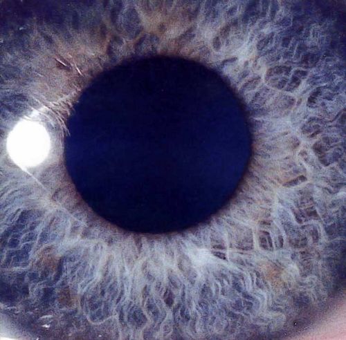 Dan Swanö Albums: songs, discography, biography, and listening guide ...