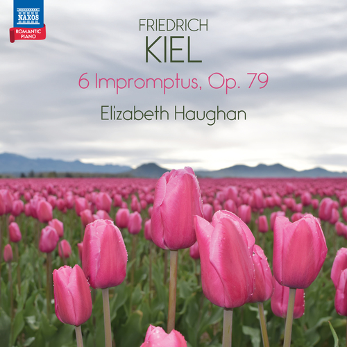 Elizabeth Haughan Albums: songs, discography, biography, and listening ...