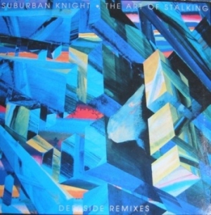 The Art of Stalking (Deepside Remixes) by Suburban Knight (Single ...
