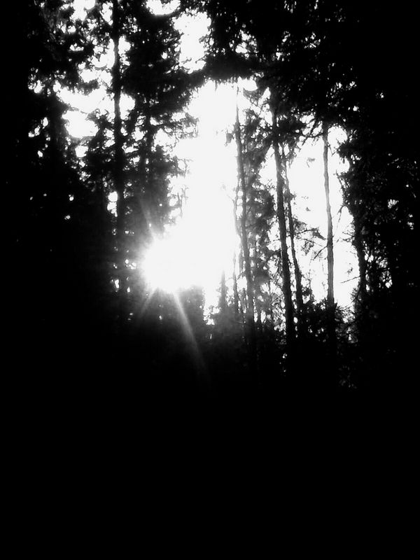 Demo I by Vurdulak Mortem (EP, Black Metal): Reviews, Ratings, Credits ...