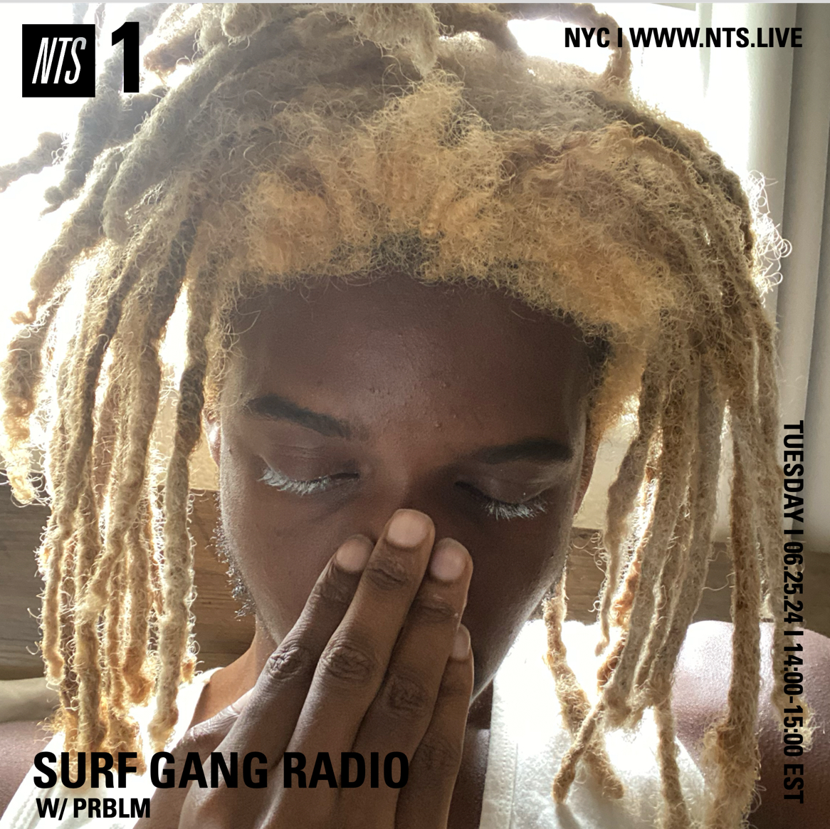 NTS Surf Gang Radio by Prblm (DJ Mix, Plugg): Reviews, Ratings, Credits ...