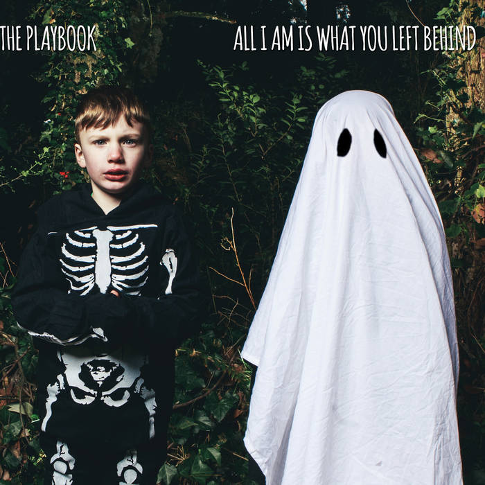 The Playbook Albums: songs, discography, biography, and listening guide ...