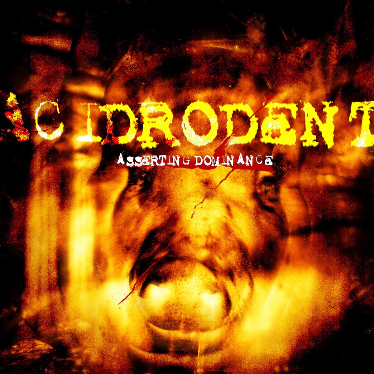 Asserting Dominance By Acidrodent Ep Reviews Ratings Credits Song 7516