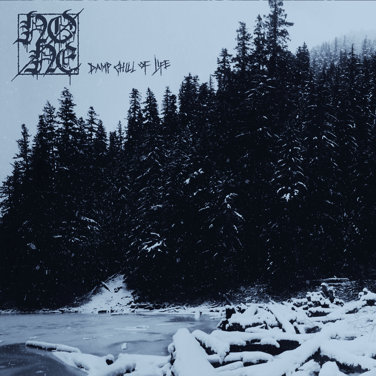 None Albums: songs, discography, biography, and listening guide - Rate ...