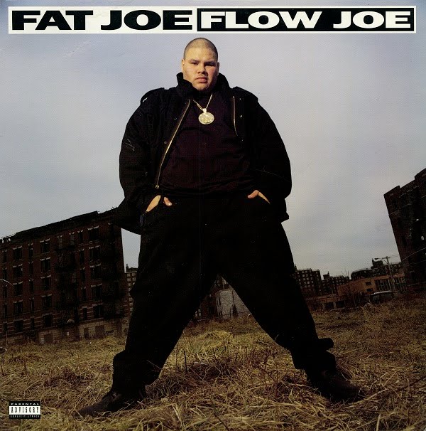 Fat Joe Albums: songs, discography, biography, and listening guide ...