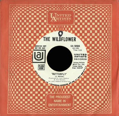 The Wildflower Albums: songs, discography, biography, and listening ...