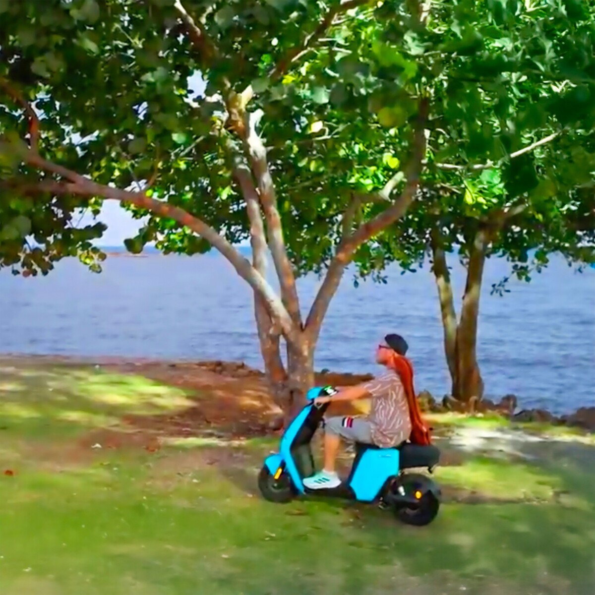 Turista by Macha y El Bloque Depresivo (Single): Reviews, Ratings ...