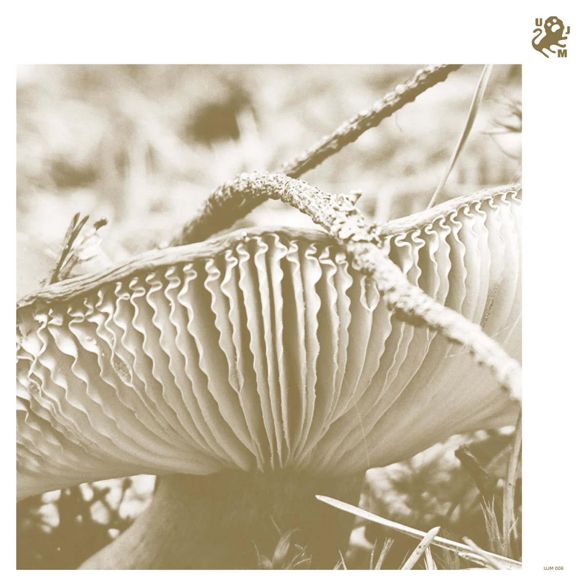 Rise & Bloom by Late Night Poems (Album): Reviews, Ratings, Credits ...