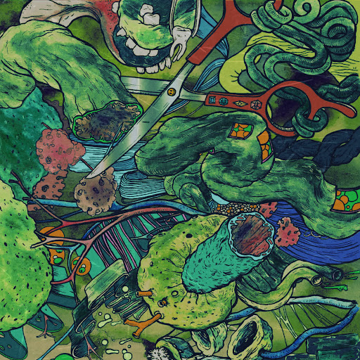 Flipper Floyd Albums: songs, discography, biography, and listening ...