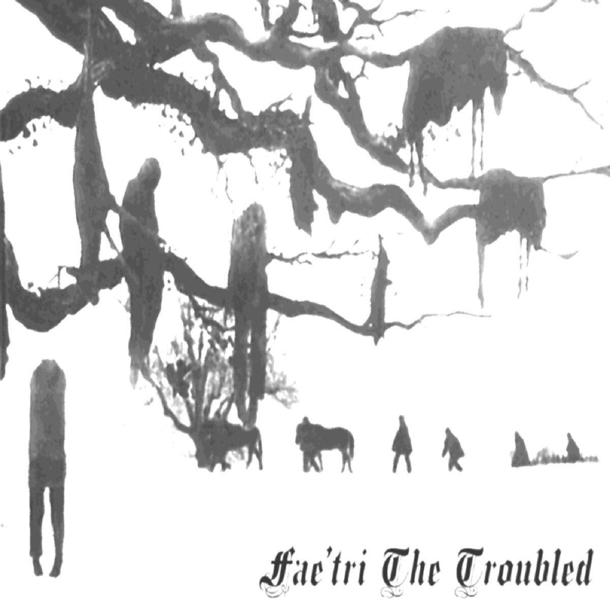 Nightfall Albums: songs, discography, biography, and listening guide ...