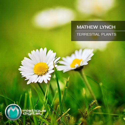 Mathew Lynch Albums: songs, discography, biography, and listening guide ...
