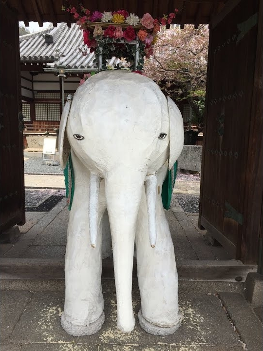 Live in Yamaguchi-University by Juma (Album, Art Pop): Reviews, Ratings ...