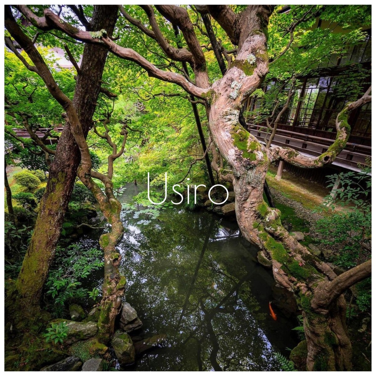 Usiro by Michiru Aoyama (Album): Reviews, Ratings, Credits, Song list ...