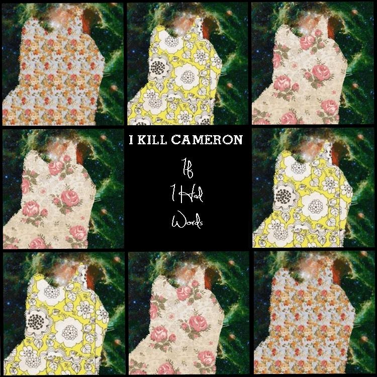 If I Had Words by I Kill Cameron (Album): Reviews, Ratings, Credits ...