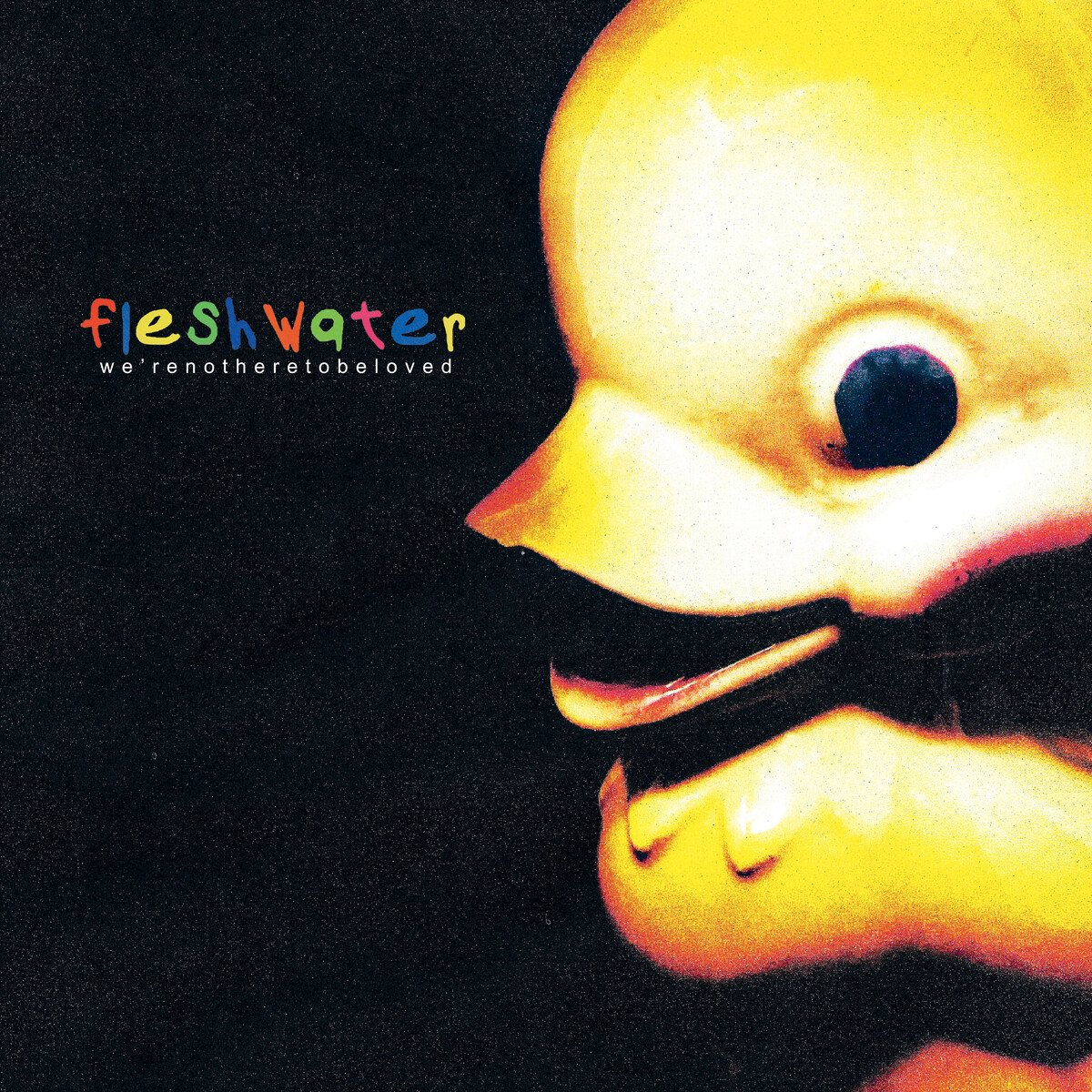 Fleshwater Albums: songs, discography, biography, and listening guide ...