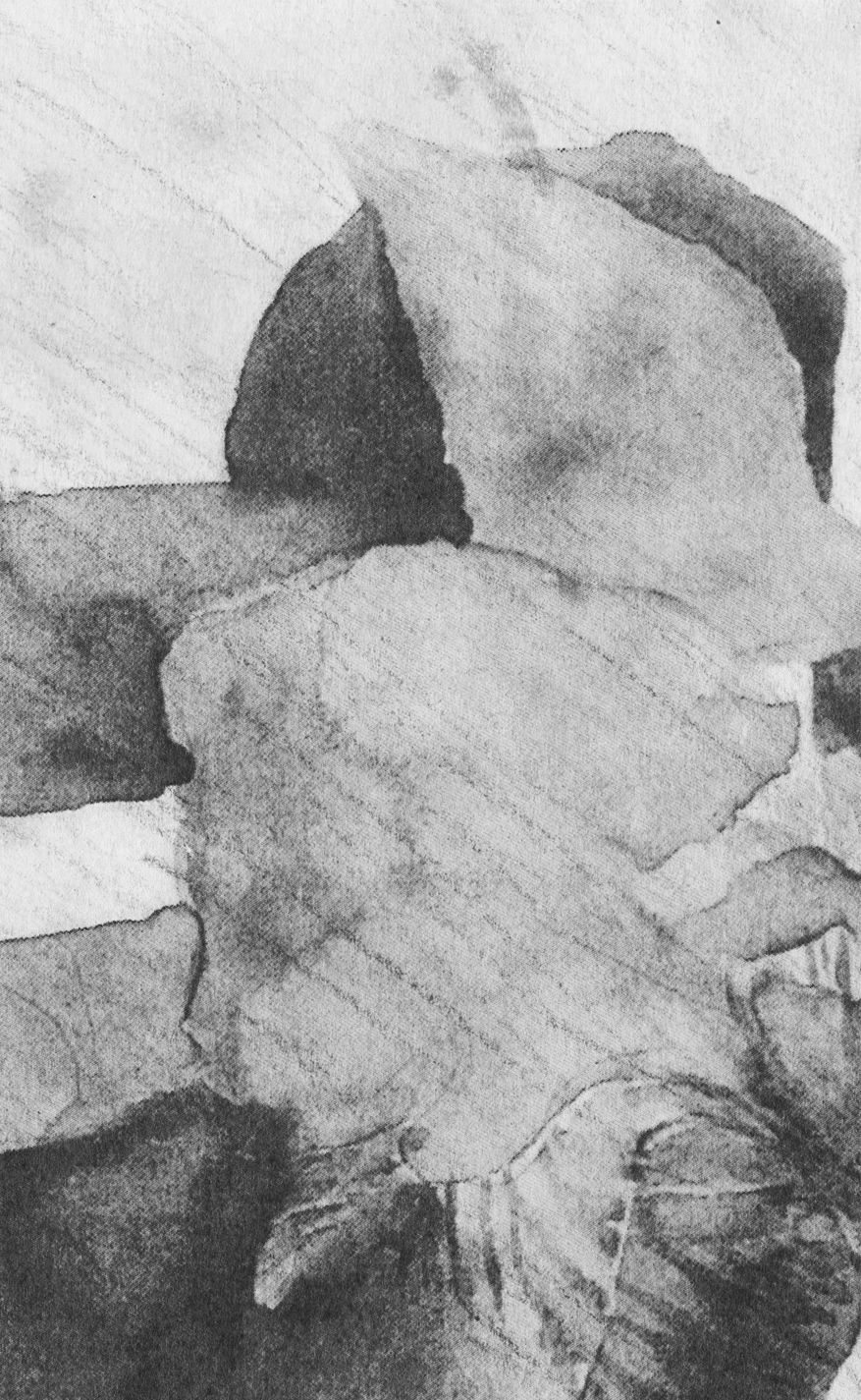 Zen Zsigo Albums: songs, discography, biography, and listening guide ...