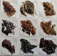 Gov Mattic Albums: songs, discography, biography, and listening guide ...