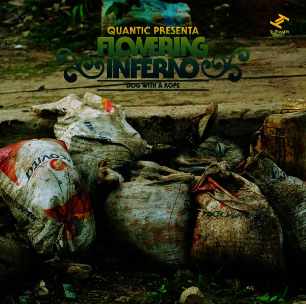Dog With a Rope by Quantic Presenta Flowering Inferno (Album, Reggae ...