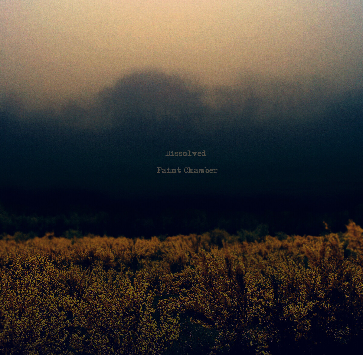 Faint Chamber by Dissolved (Album): Reviews, Ratings, Credits, Song ...
