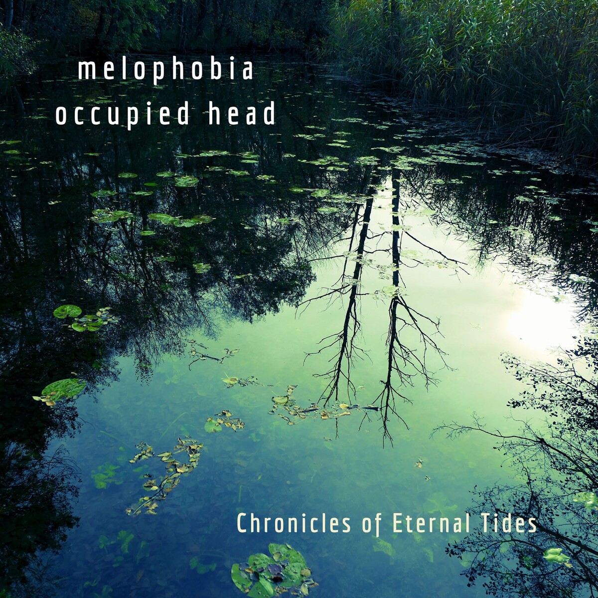 Melophobia Albums: songs, discography, biography, and listening guide ...