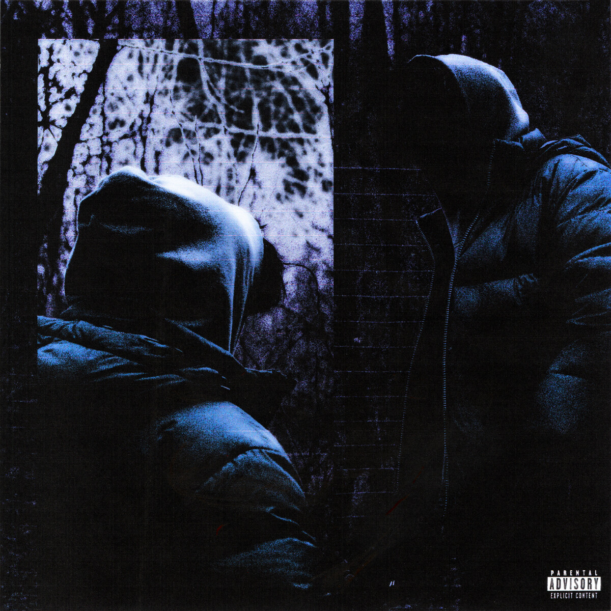 shenko Albums: songs, discography, biography, and listening guide ...