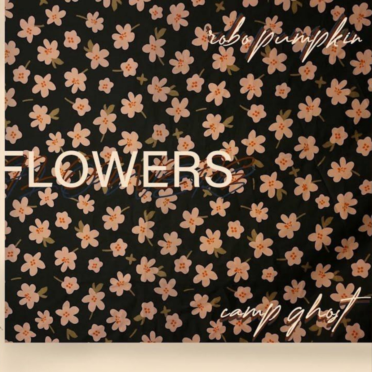 Flowers by Robo Pumpkin / camp ghost (EP): Reviews, Ratings, Credits ...