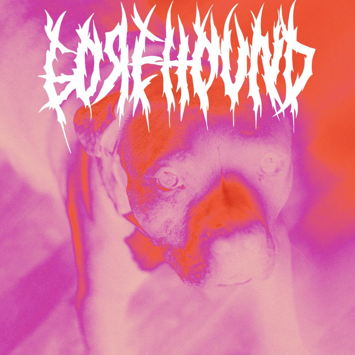 GOREHOUND Albums: songs, discography, biography, and listening guide ...