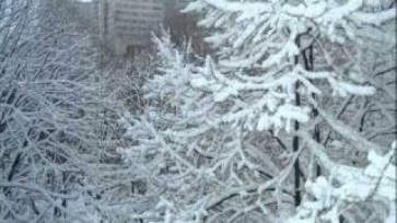 Al' je 'ladno (Instrumental Preview) by Anke Fanker (Additional release ...