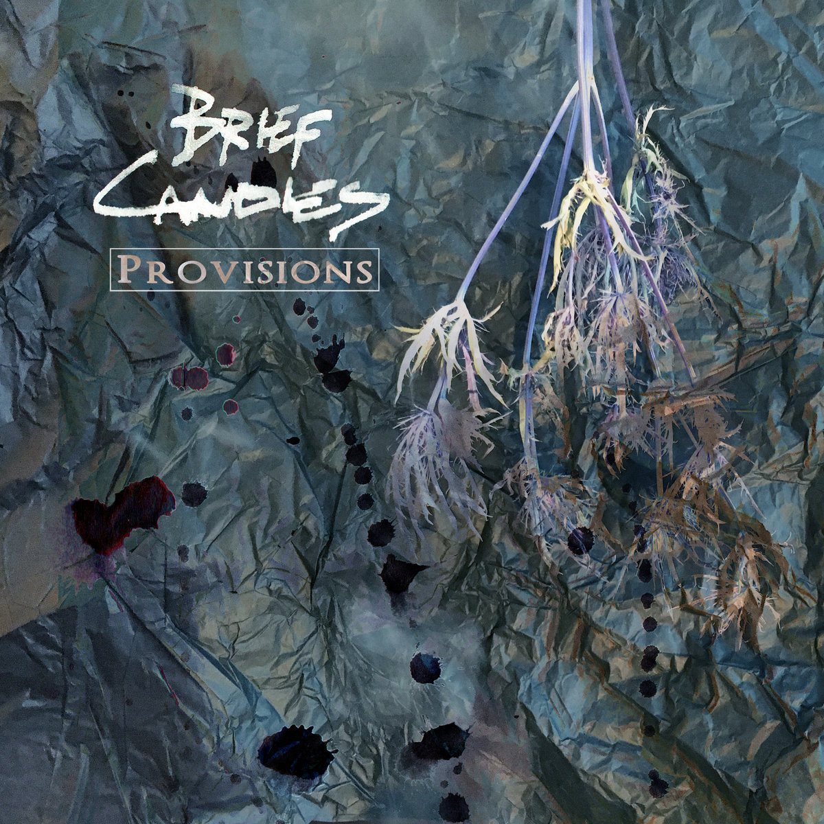 Provisions by Brief Candles (Single): Reviews, Ratings, Credits, Song ...