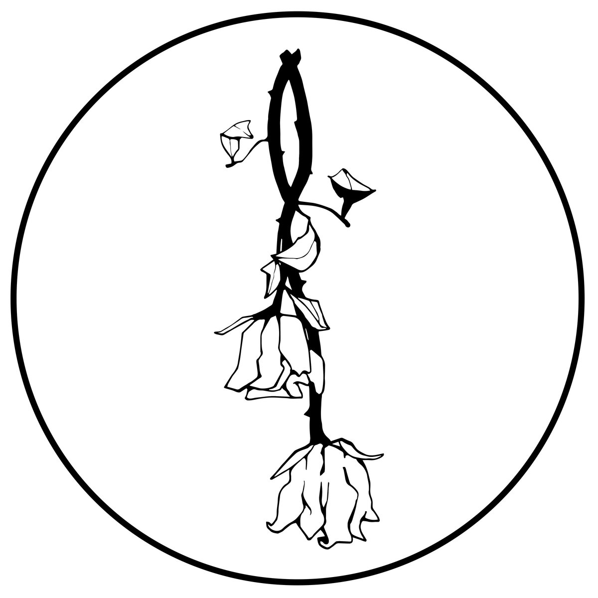 Melancholia by Umbraid (EP): Reviews, Ratings, Credits, Song list ...